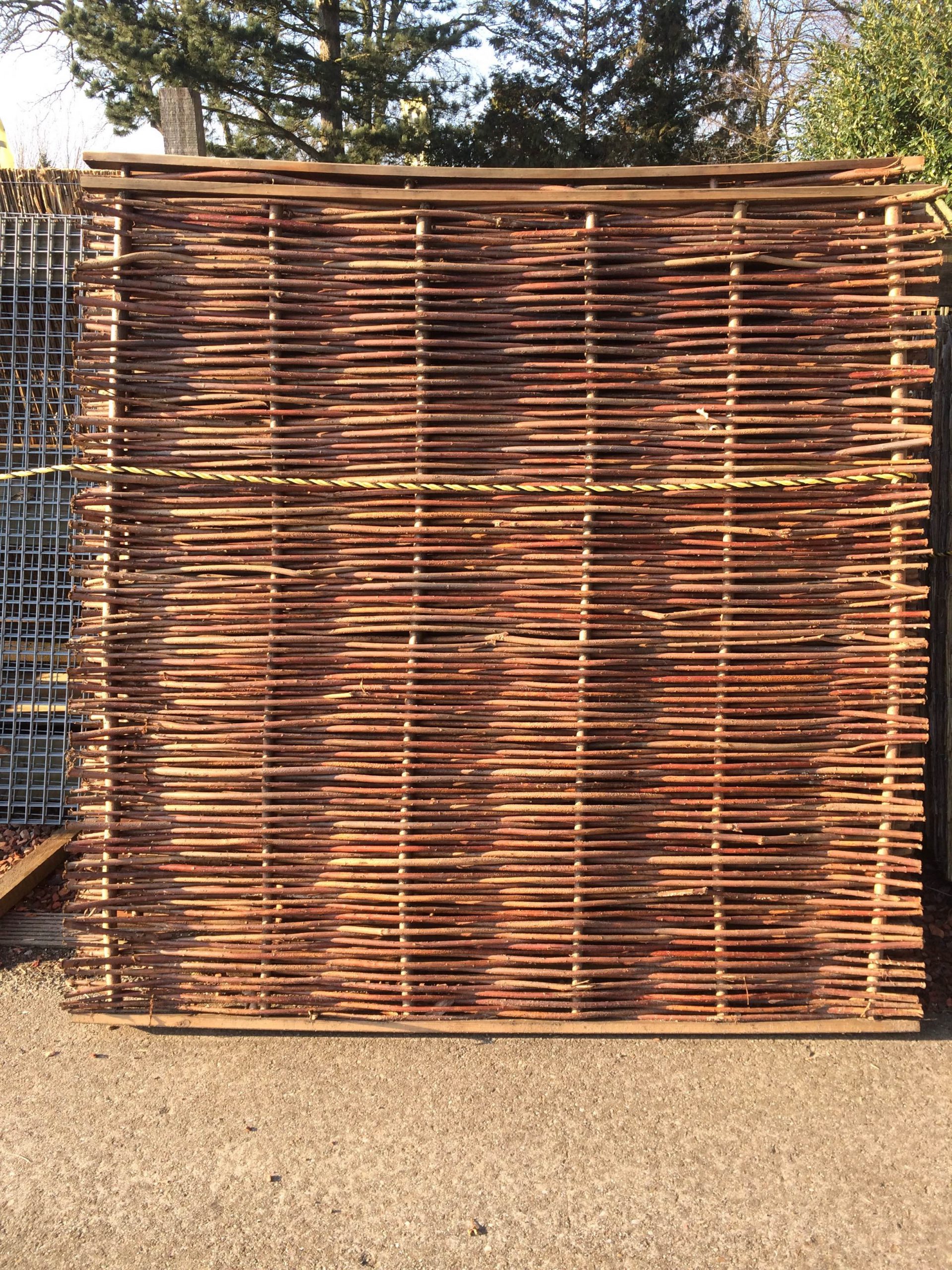 Wilgenschermen - HTC Tuinhout